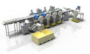 Qué es la Distribución de Plantas Por Producto – Academy EQS